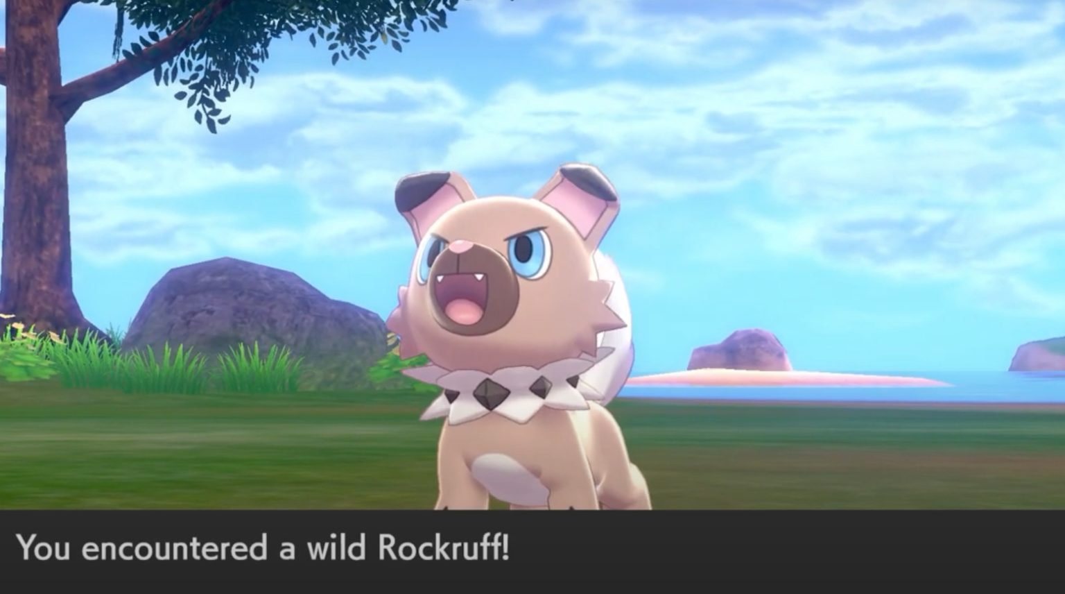 How to get Rockruff in Pokémon Sword and Shield’s Isle of Armor ...