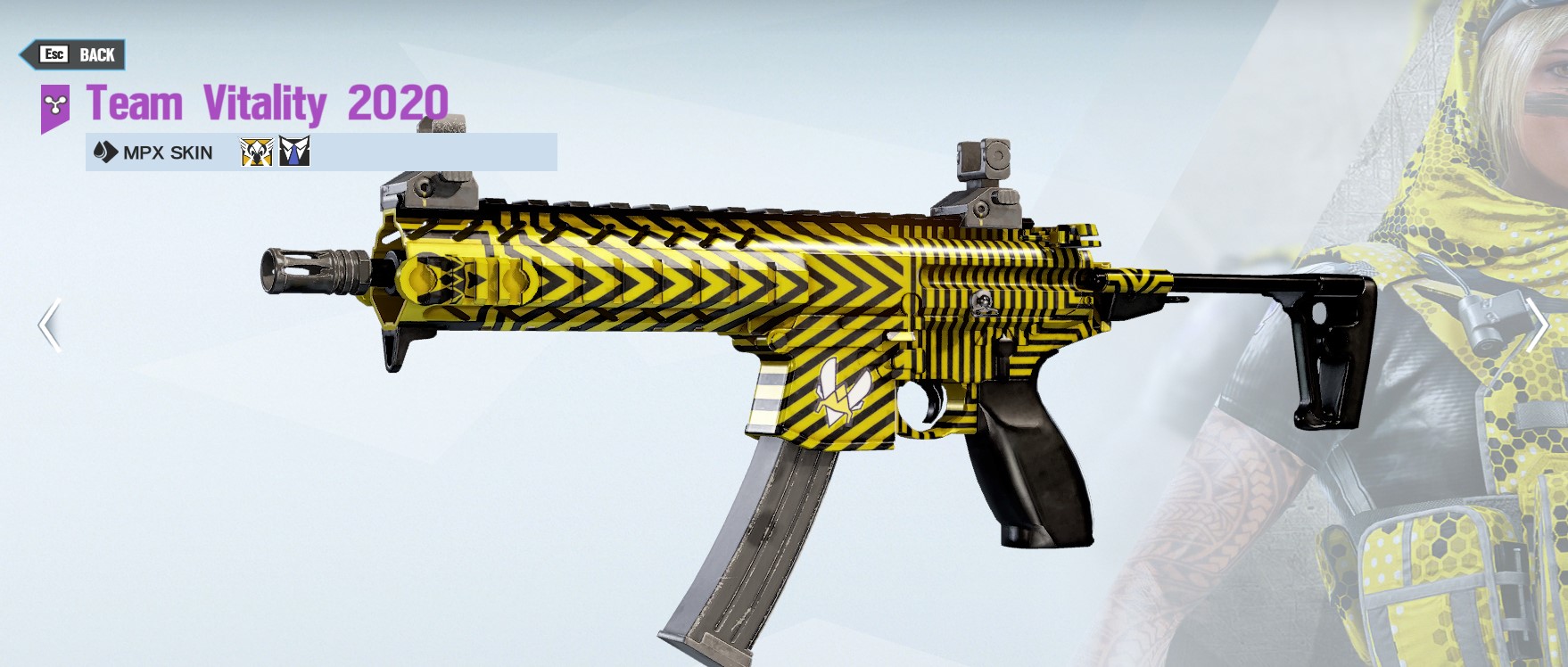 Here are all the 2020 R6 Share skins - Dot Esports