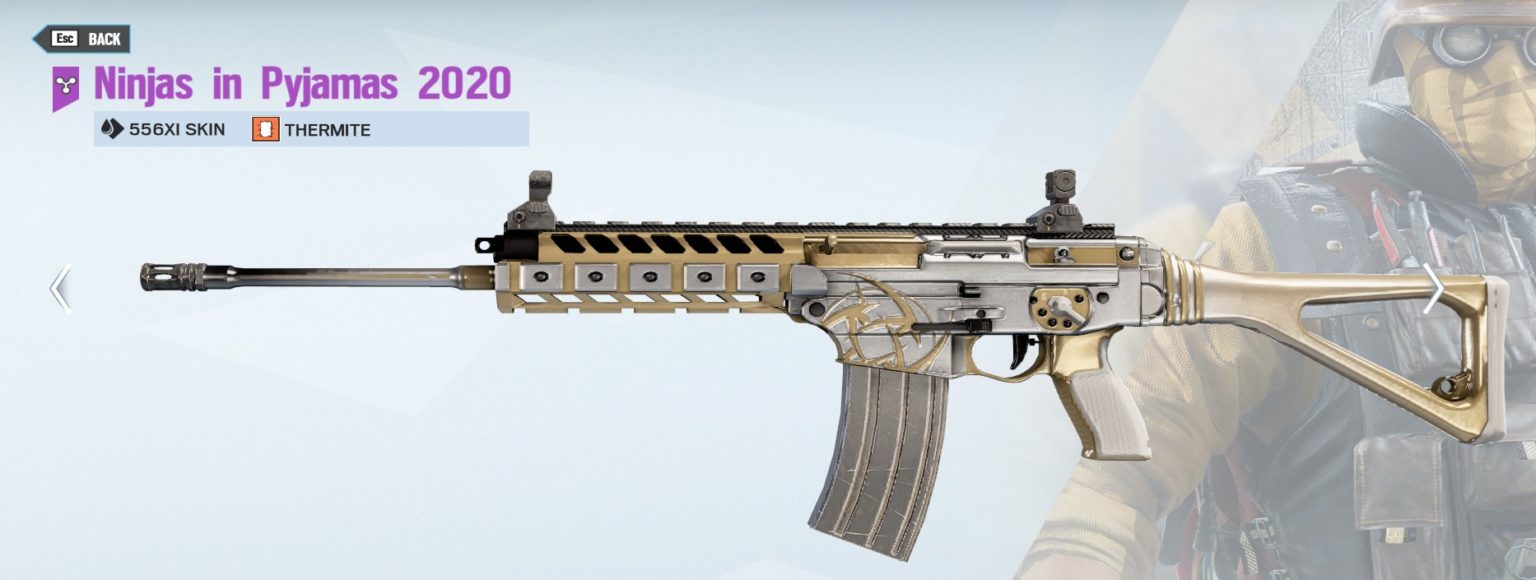 Here are all the 2020 R6 Share skins - Dot Esports