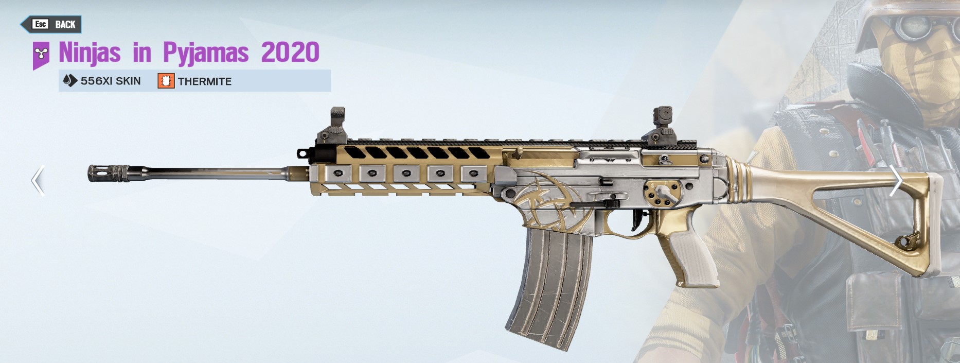 Here are all the 2020 R6 Share skins - Dot Esports