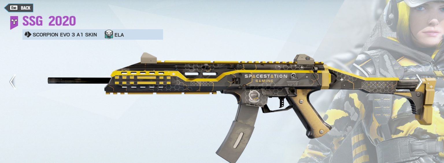 Here are all the 2020 R6 Share skins - Dot Esports