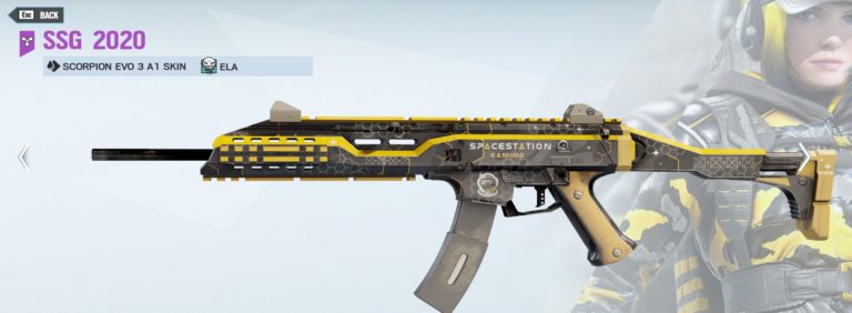 Here are all the 2020 R6 Share skins - Dot Esports