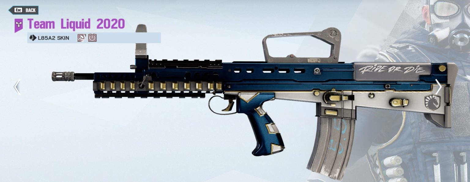 Here are all the 2020 R6 Share skins - Dot Esports