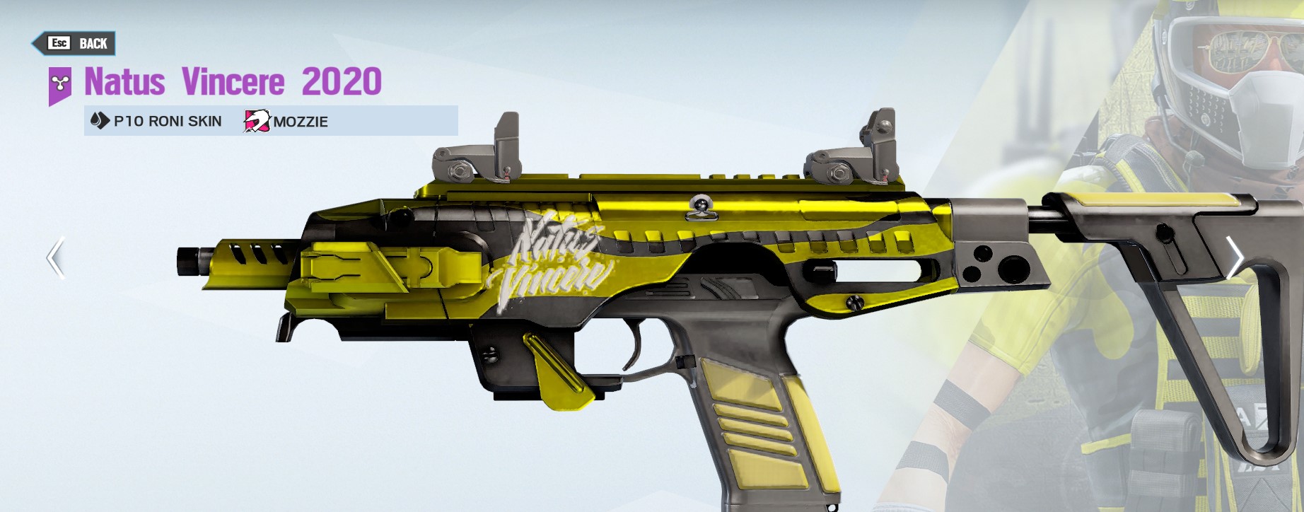 Here are all the 2020 R6 Share skins - Dot Esports