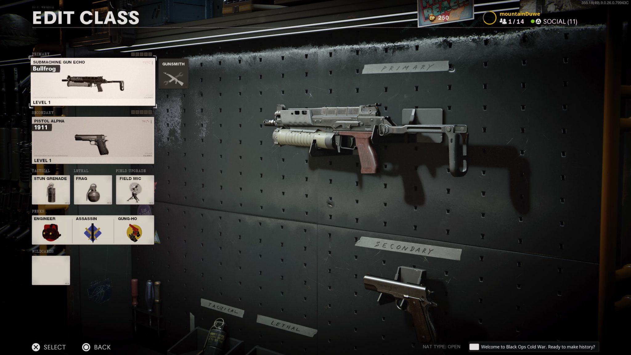 The best Bullfrog loadouts in Call of Duty: Black Ops Cold War - Dot ...