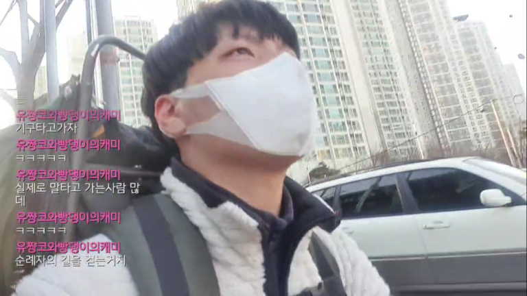 Korean streamer completes 17-day livestream journey walking from Seoul ...