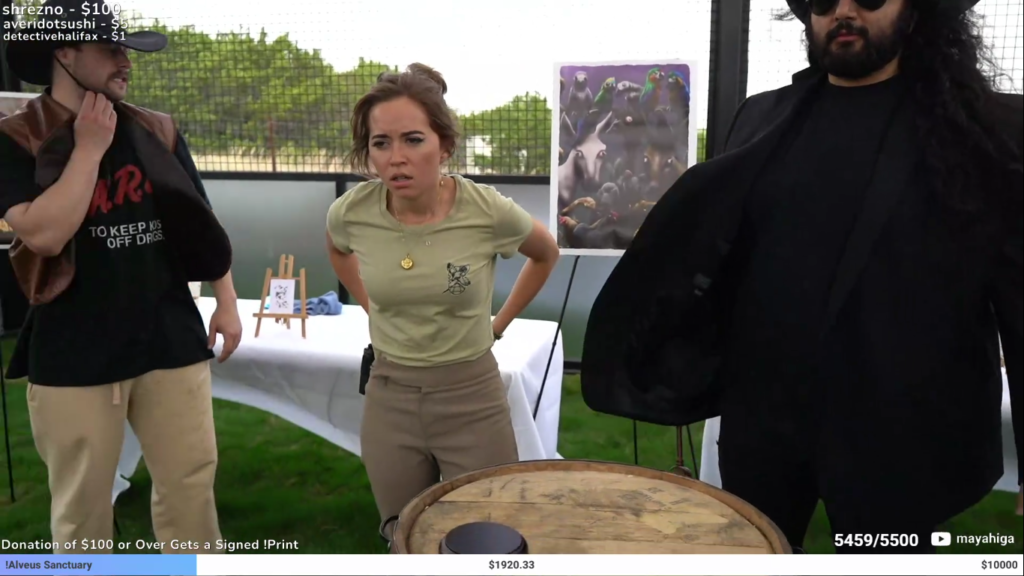 Maya Higa auctions off over $40,000 of art pieces painted by animals ...