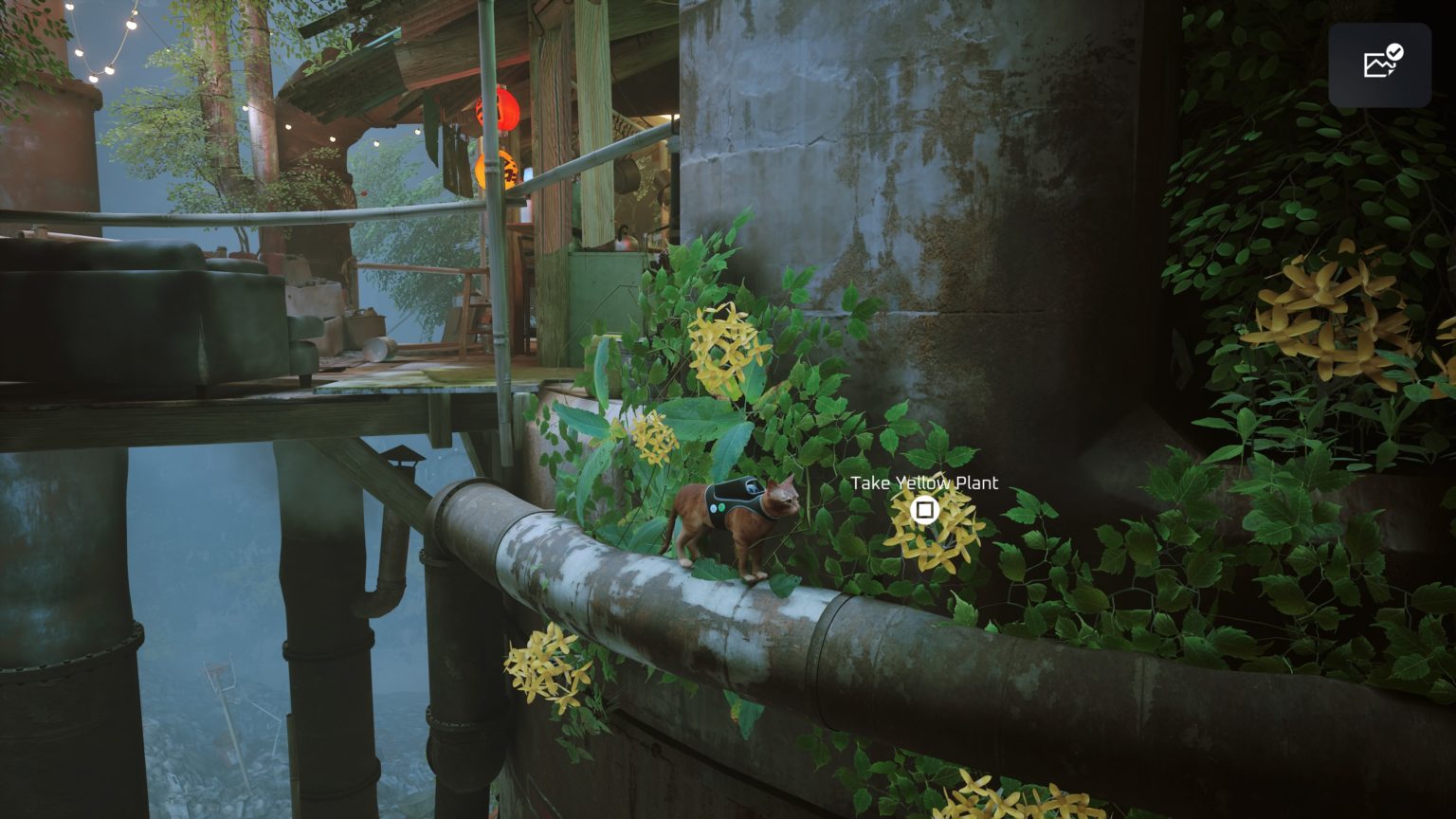 All flower locations in Antvillage in Stray to complete the plant badge ...