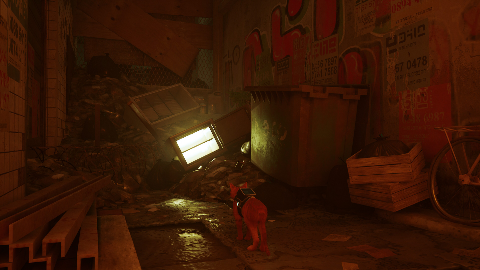 What is the mysterious password in Stray? - Dot Esports