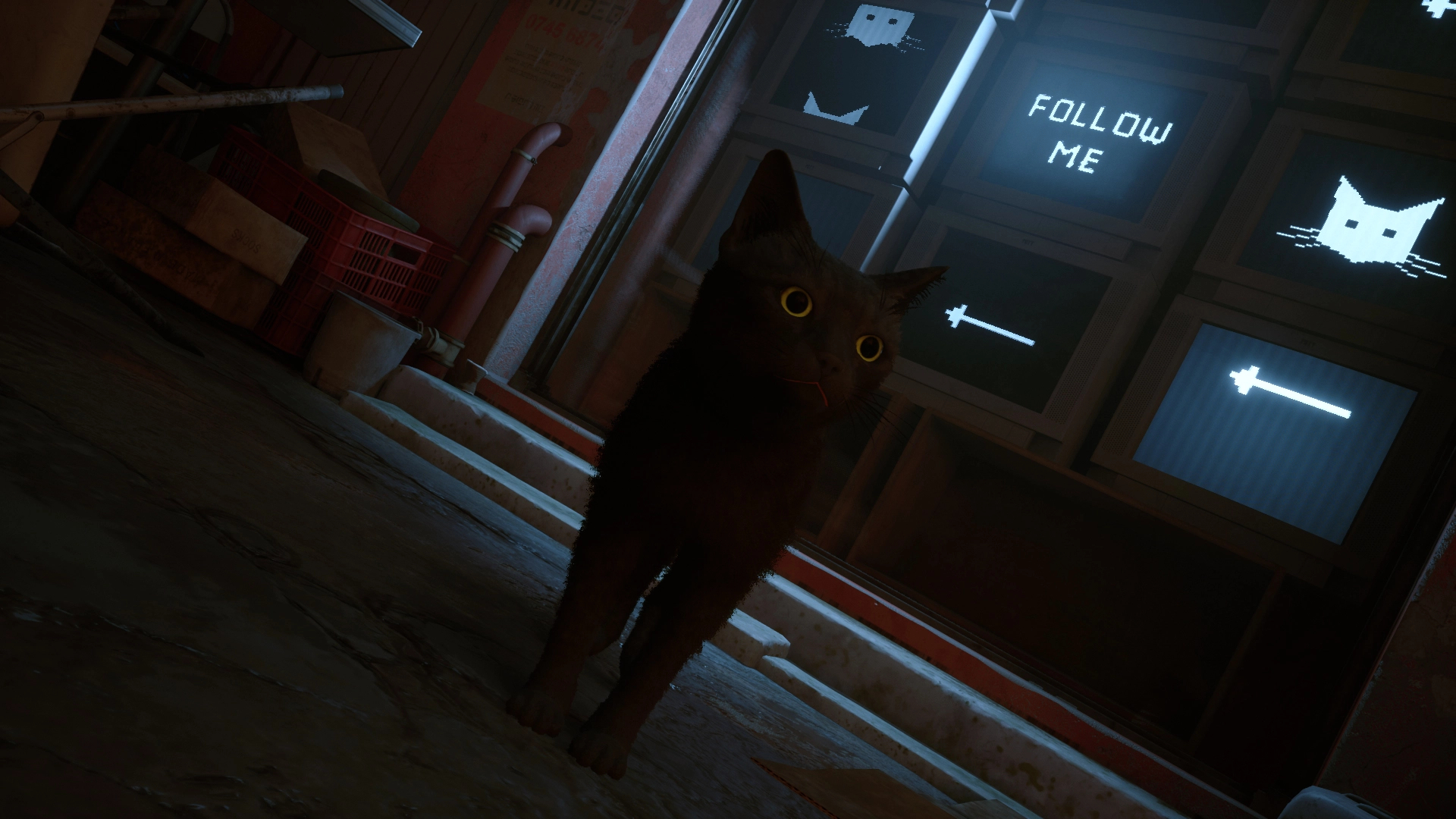 6 Best Stray Mods - Black cat, Heavy Rain, and more - Dot Esports