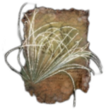 Incantation Tier List: All the best Incantations in Elden Ring - Dot ...