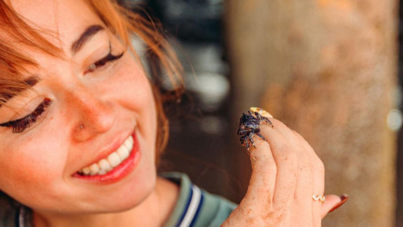 Who is Maya Higa? History, Twitch earnings, age, setup - Dot Esports