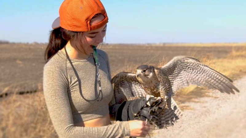 Maya returns after a two-month hiatus, discusses Twitch plans moving ...