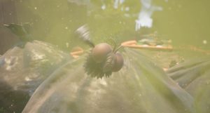 A guide to gnats in Grounded | All variants, where to find them, & what ...