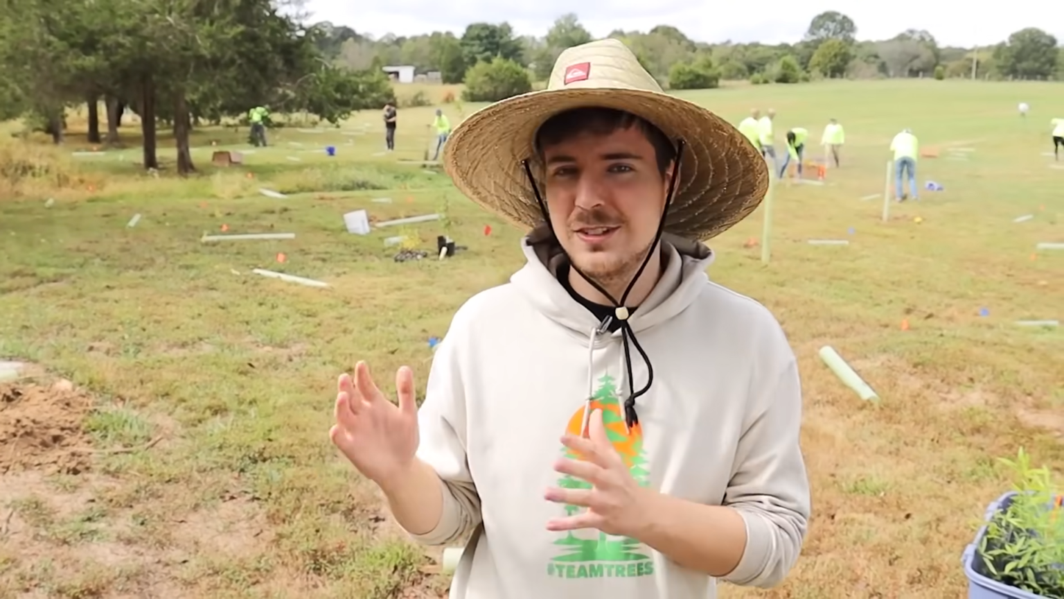 MrBeast celebrates massive milestone in tree-planting initiative - Dot ...