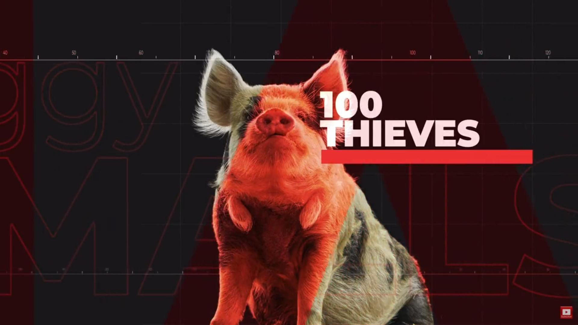 Did 100 Thieves really just sponsor a pig named Piggy Smalls? - Dot Esports