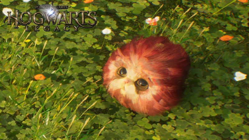 How to get a Puffskein in Hogwarts Legacy - Dot Esports